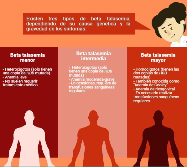 Aprende con la Dra. Santos: beta talasemia - Genotipia