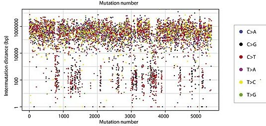 Kataegis y Cáncer de Mama