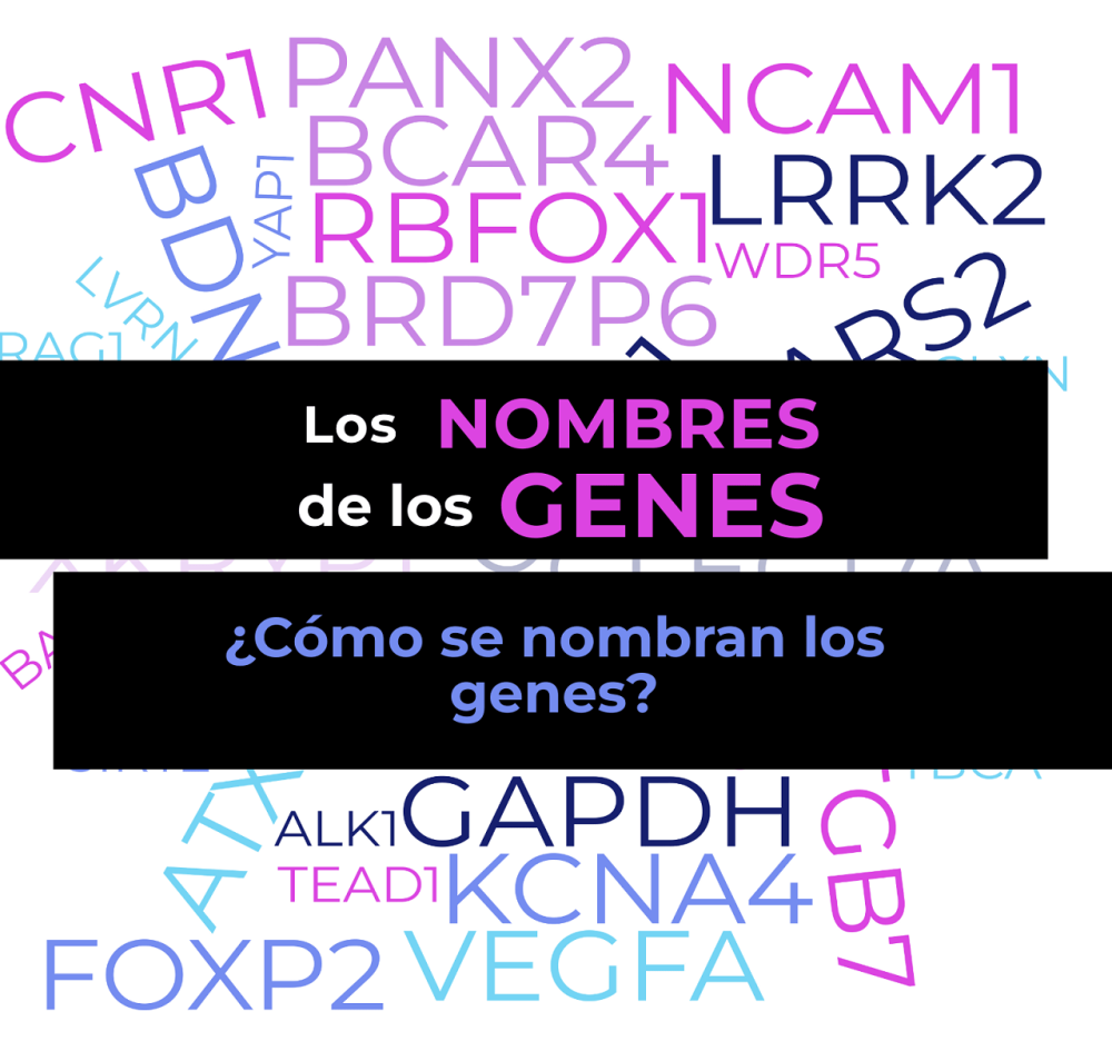Los nombres de los genes - Genotipia