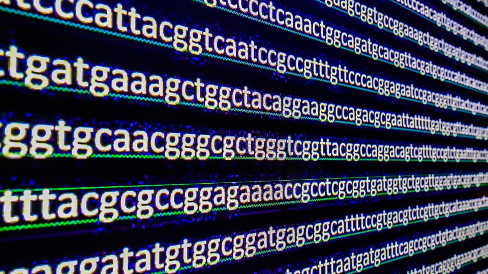 ¿Cómo se deciden los Nombres de los Genes?