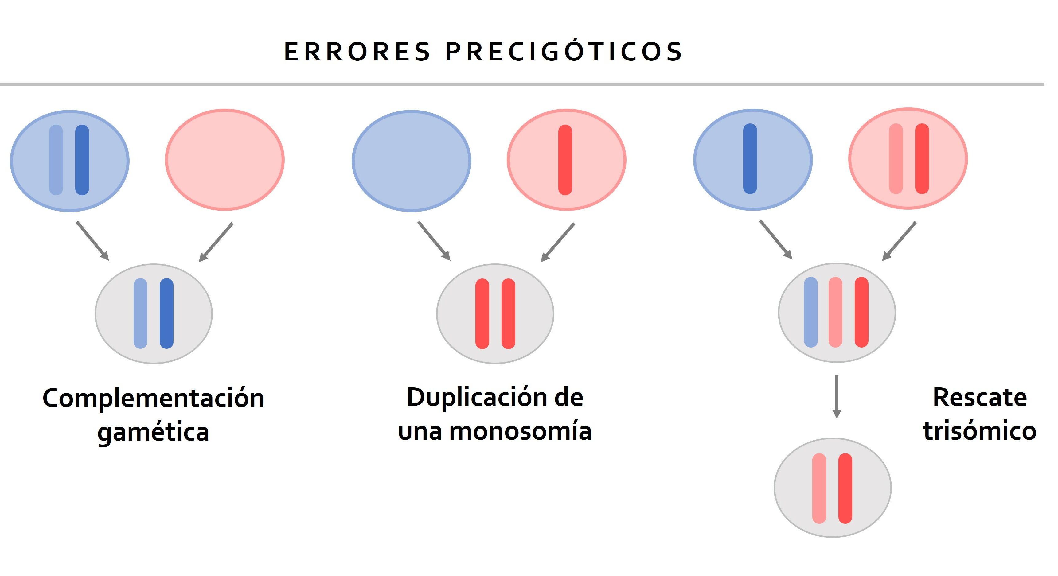 Síndrome de Temple, como diagnóstico diferencial del síndrome de Prader ...