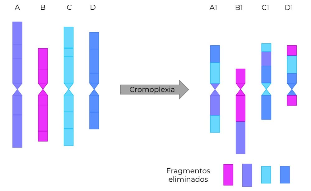 Cromoplexia y cromotripsis - Genotipia
