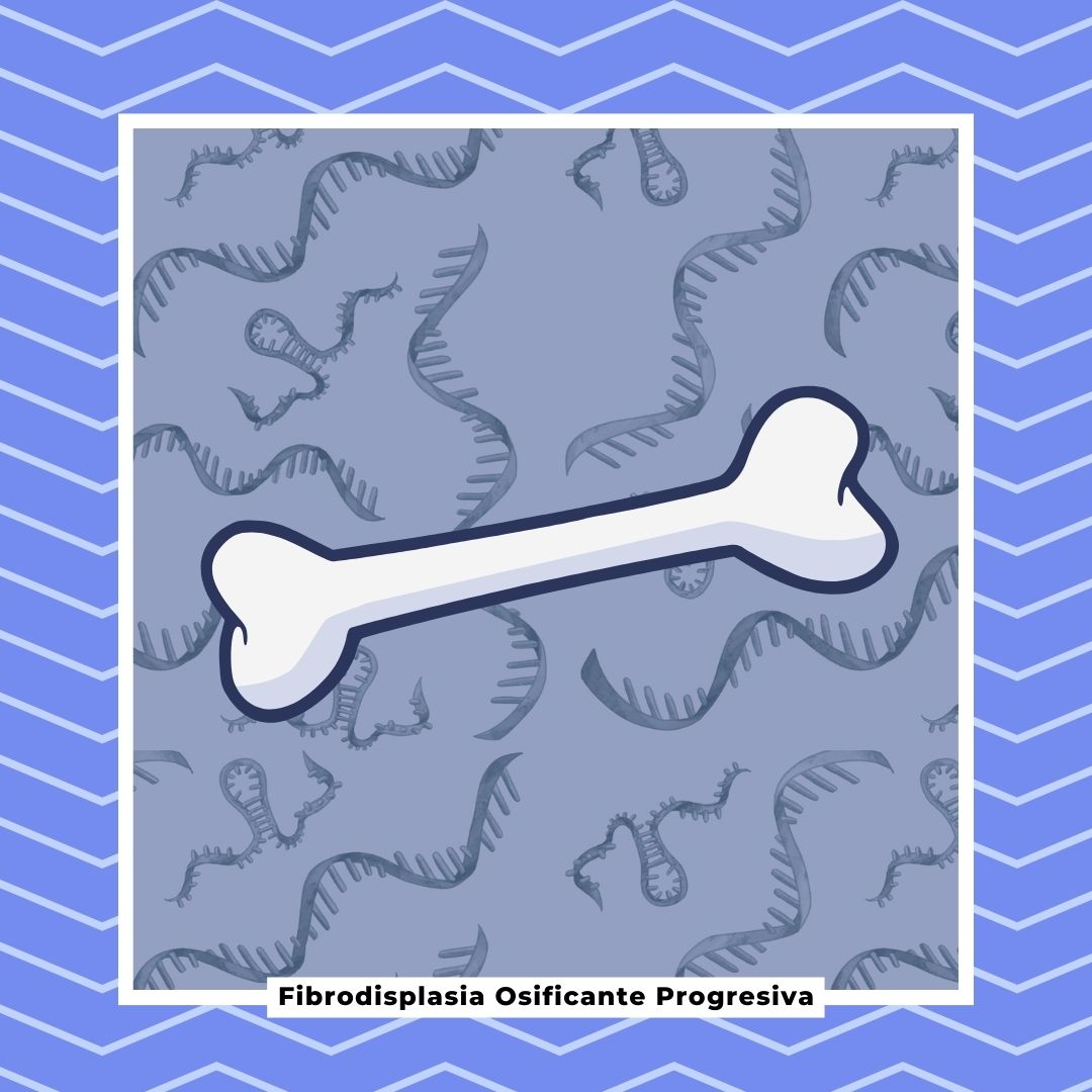 Fibrodisplasia Osificante Progresiva - Genotipia