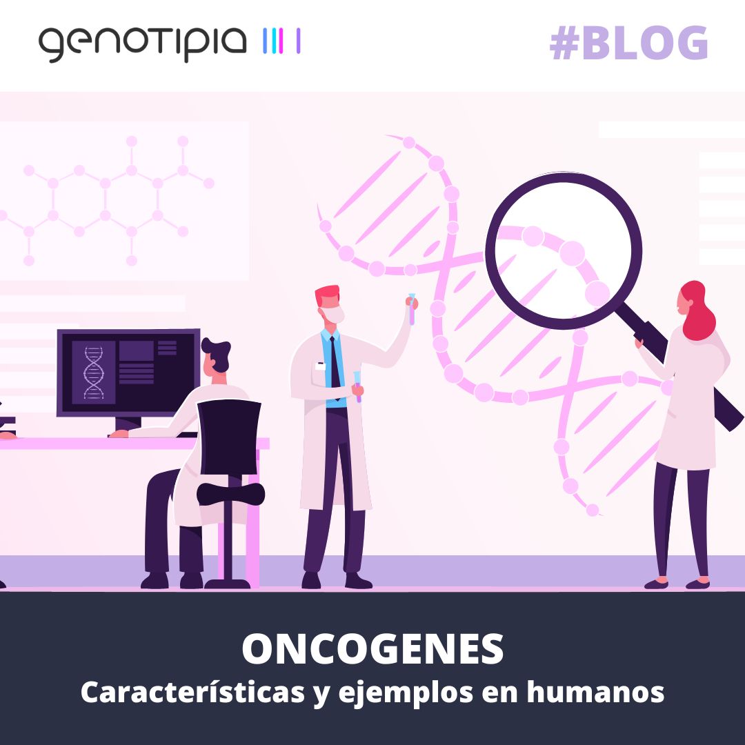 Oncogenes: características y ejemplos en humanos - Genotipia