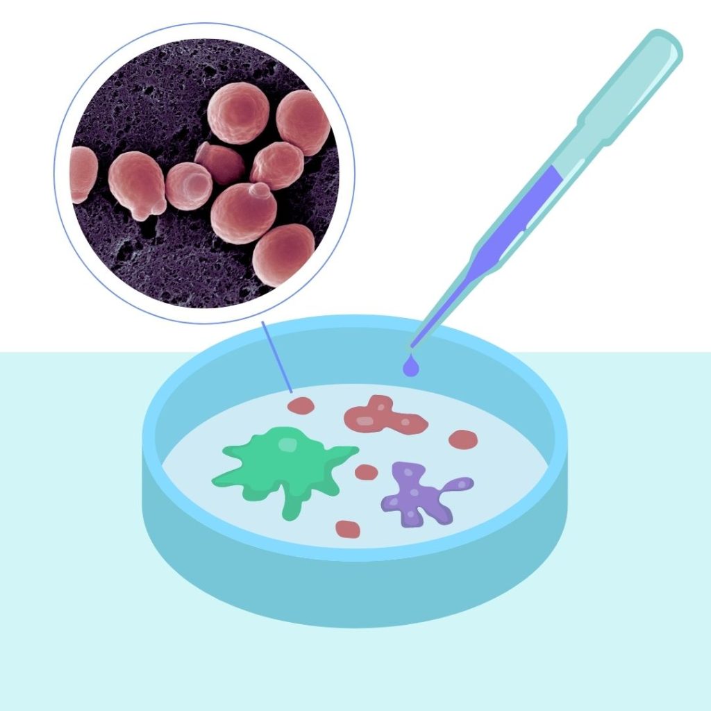 Hongos patógenos - Genotipia