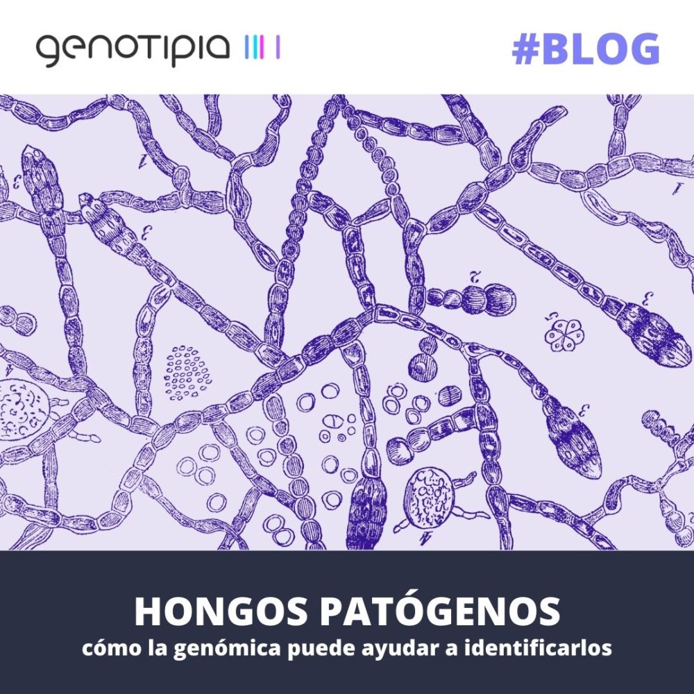 Hongos patógenos - Genotipia