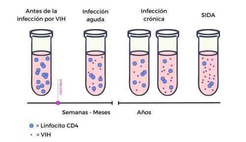 VIH: historia y características - Genotipia