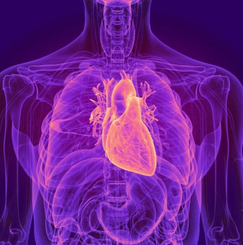Expansiones de repeticiones de ADN en cardiomiopatía