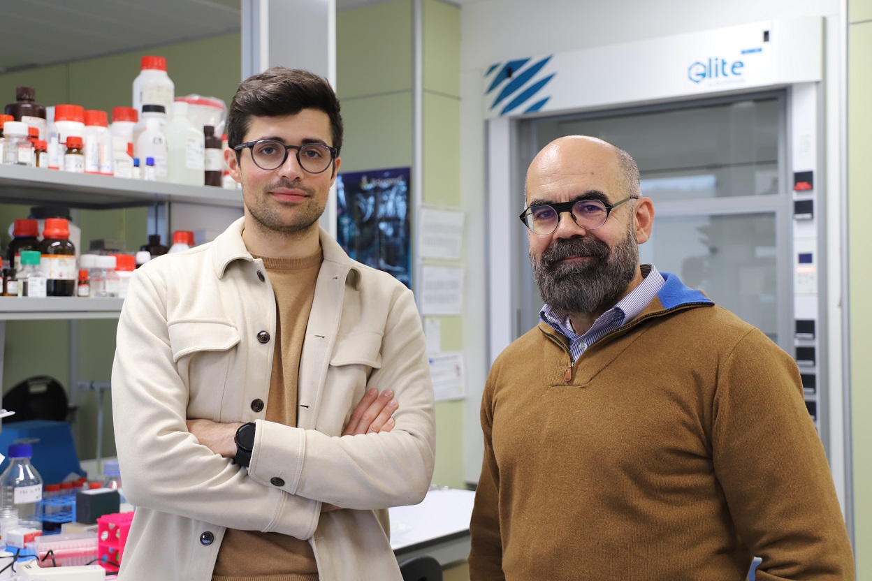 Nuevo Atlas de la Microglía Humana