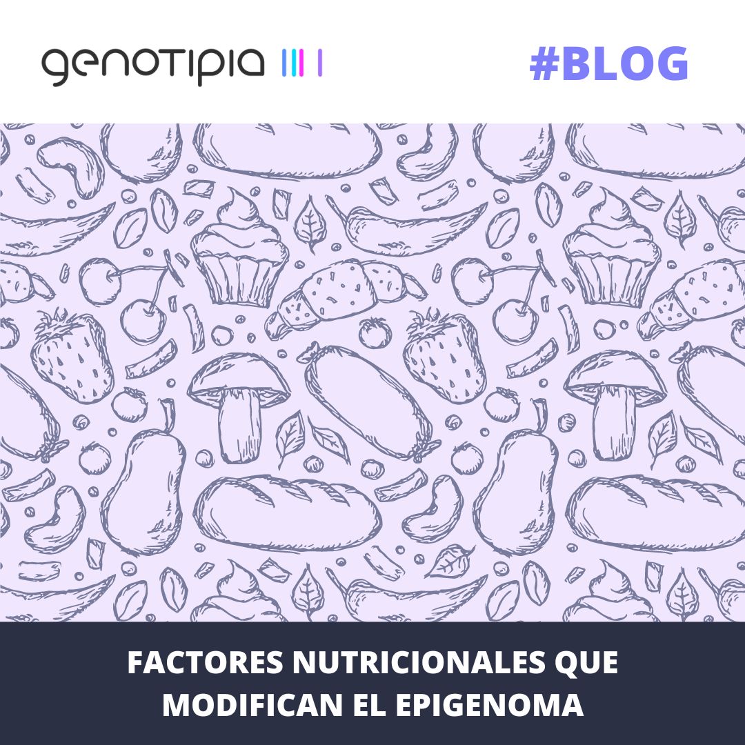 Epigenoma: factores nutricionales que influyen en él - Genotipia